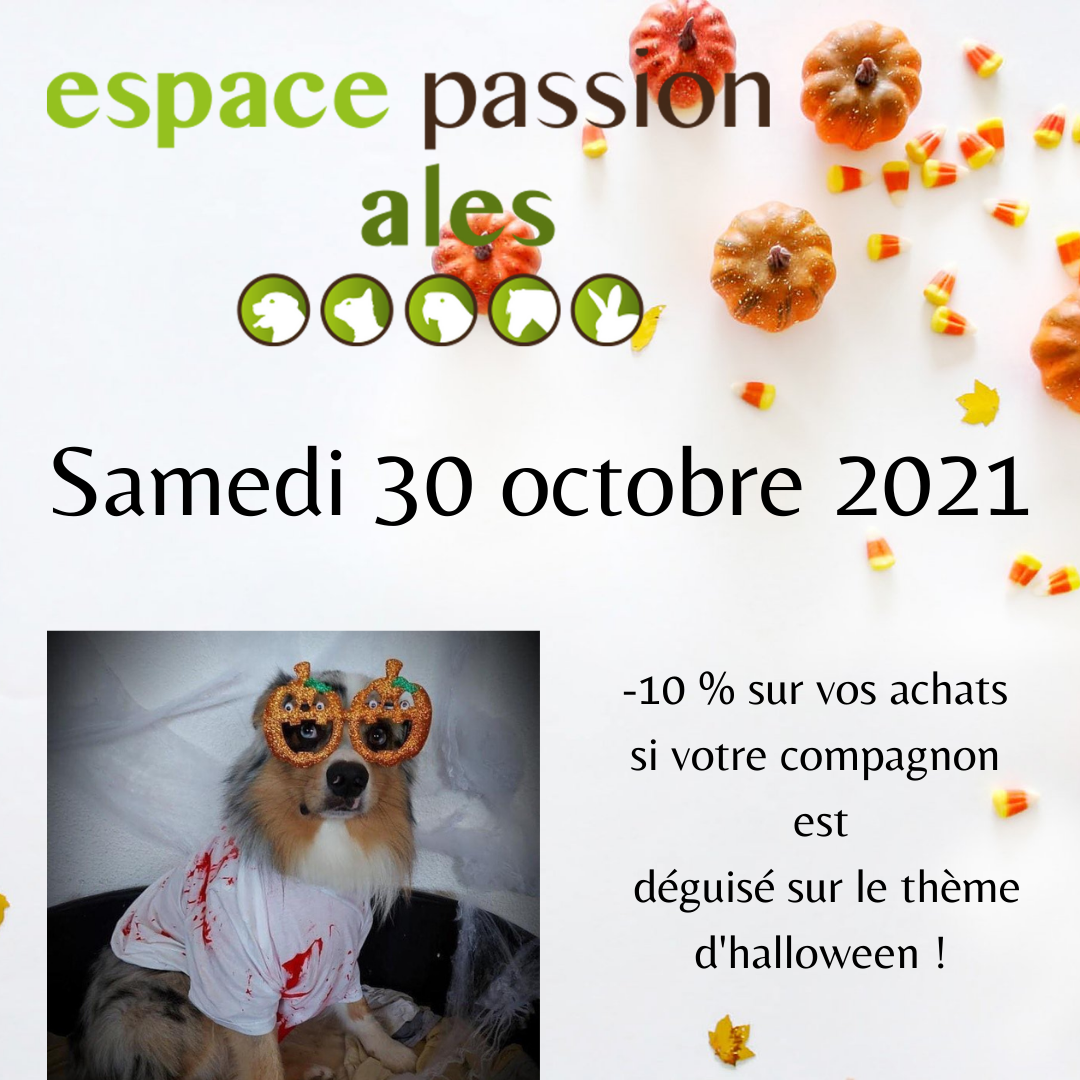 Spécial Halloween 2021